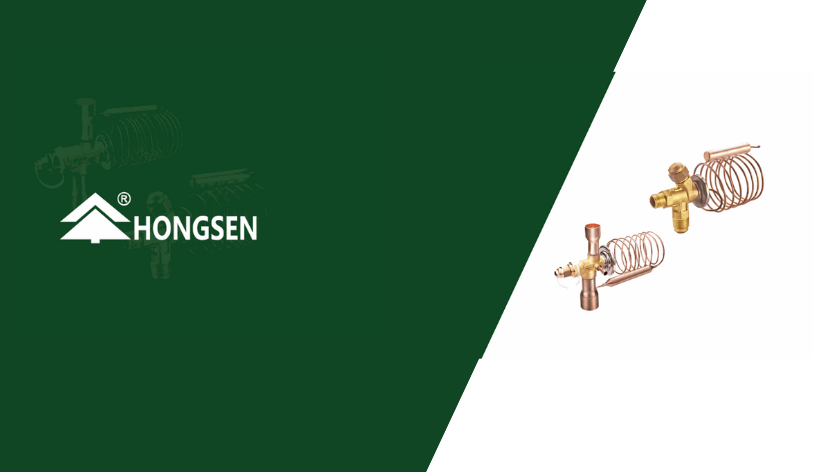 VÁLVULAS DE EXPANSIÓN HONGSEN: CRITERIOS DE SELECCIÓN Y APLICACIONES ...